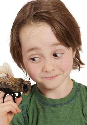 Finger Bamse Bi | til historiefortælling og dukketeater - Fåes hos Viccadk